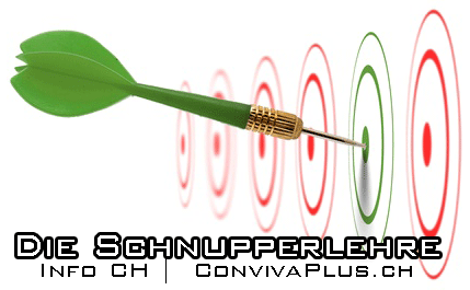 Was ist eine Schnupperlehre? | INFO Schweiz